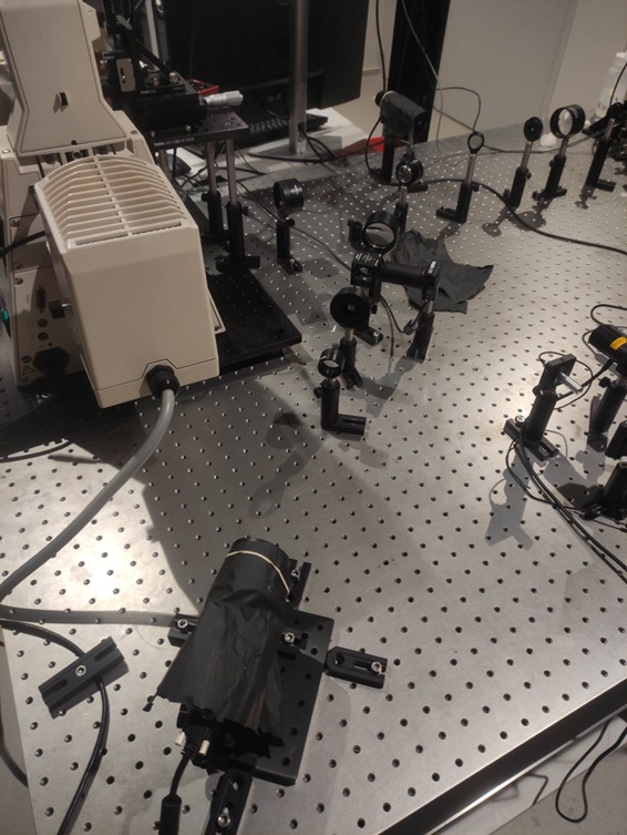 Light field microscopy - BiOf