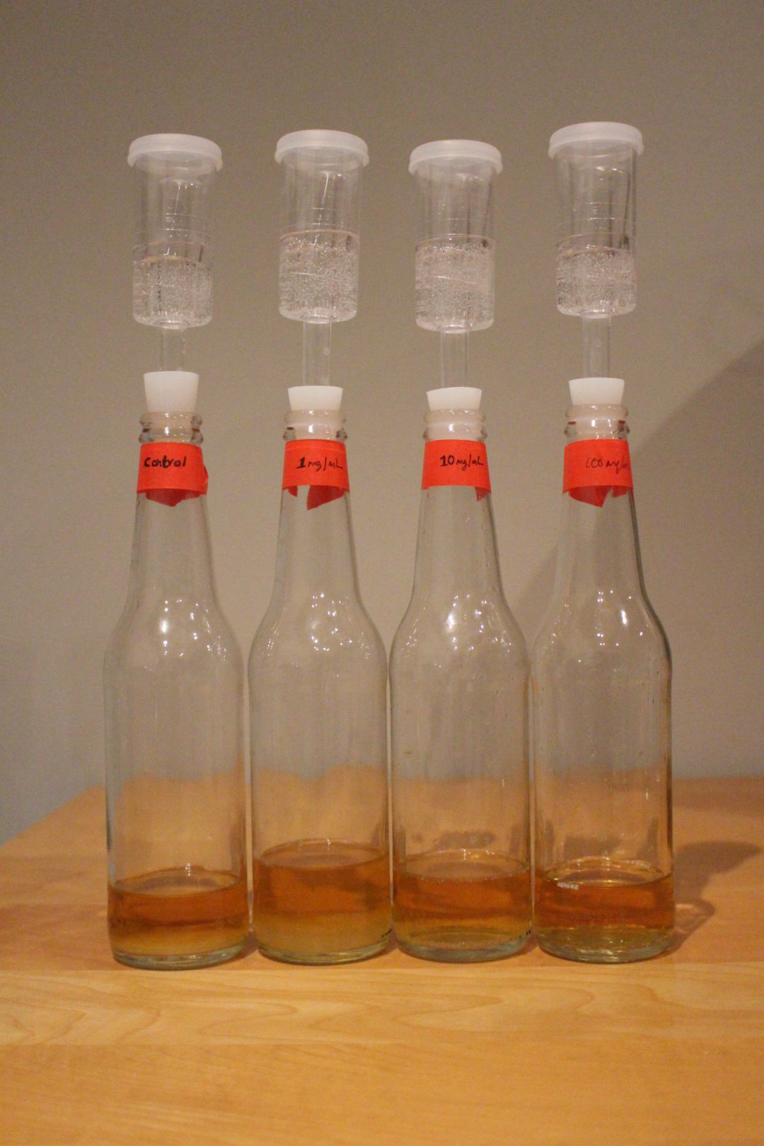 Brewing beer with encapsulated yeast - BiOf